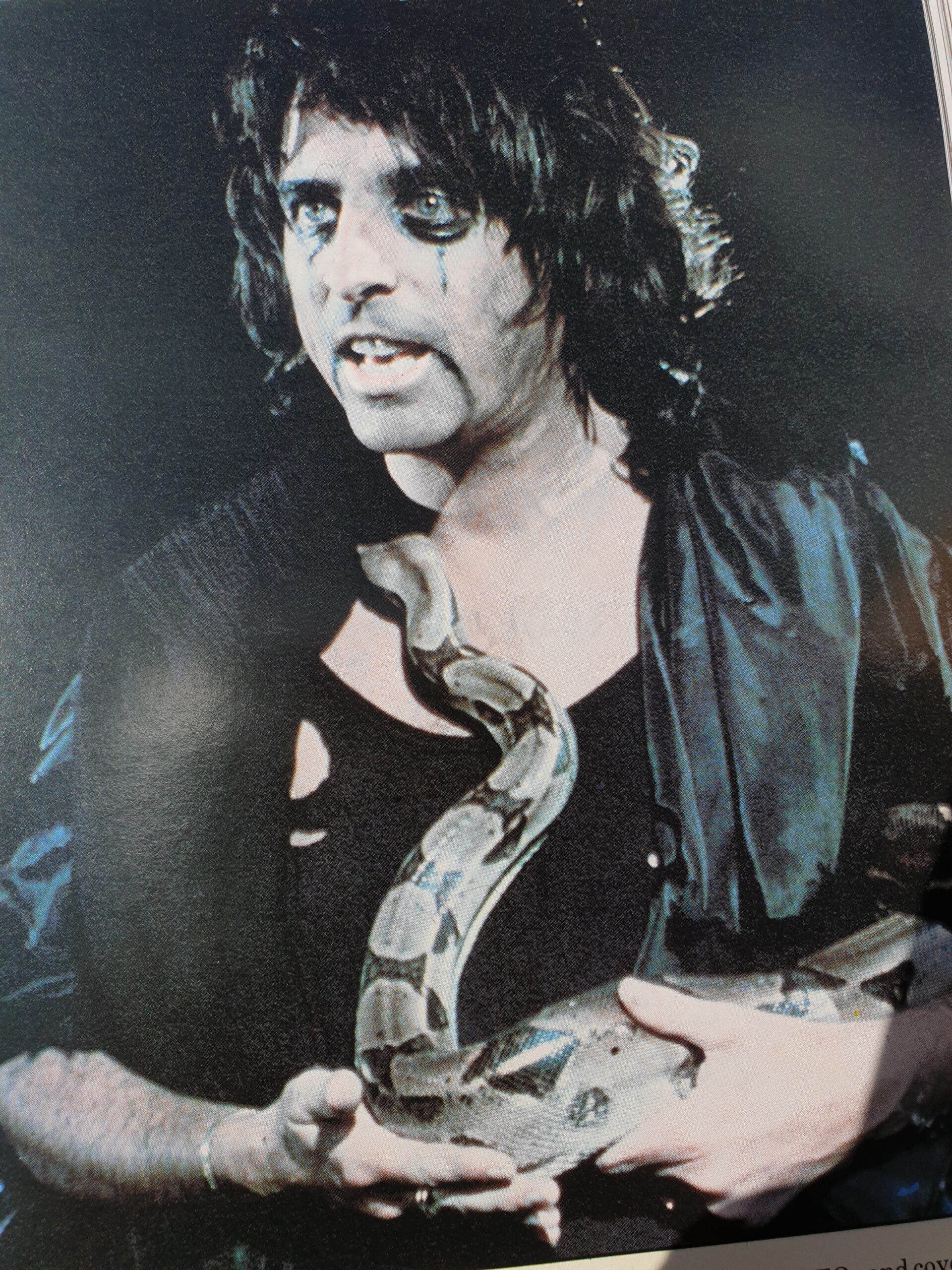 Alice Cooper Songs Singles & Albums| Music Of The 70s